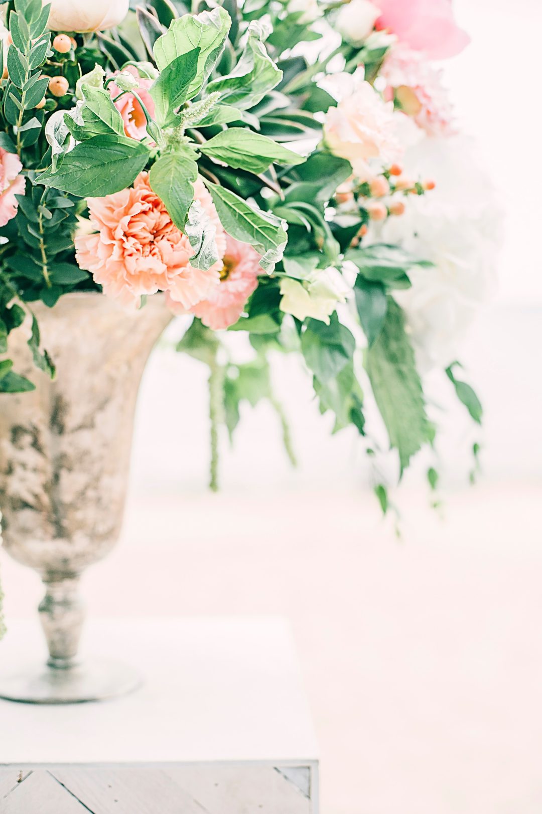 il-Qronfla - Malta's Foremost Florists | Flowers and Plants Delivery Malta